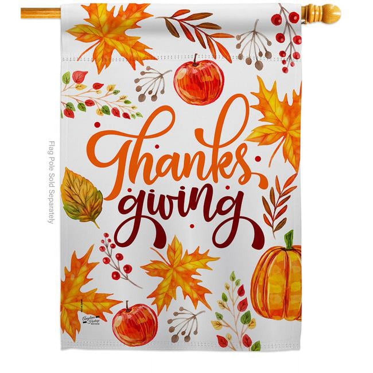 28 x 40 in. Thanksgiving Leaves House Flag with Fall Double-Sided ...