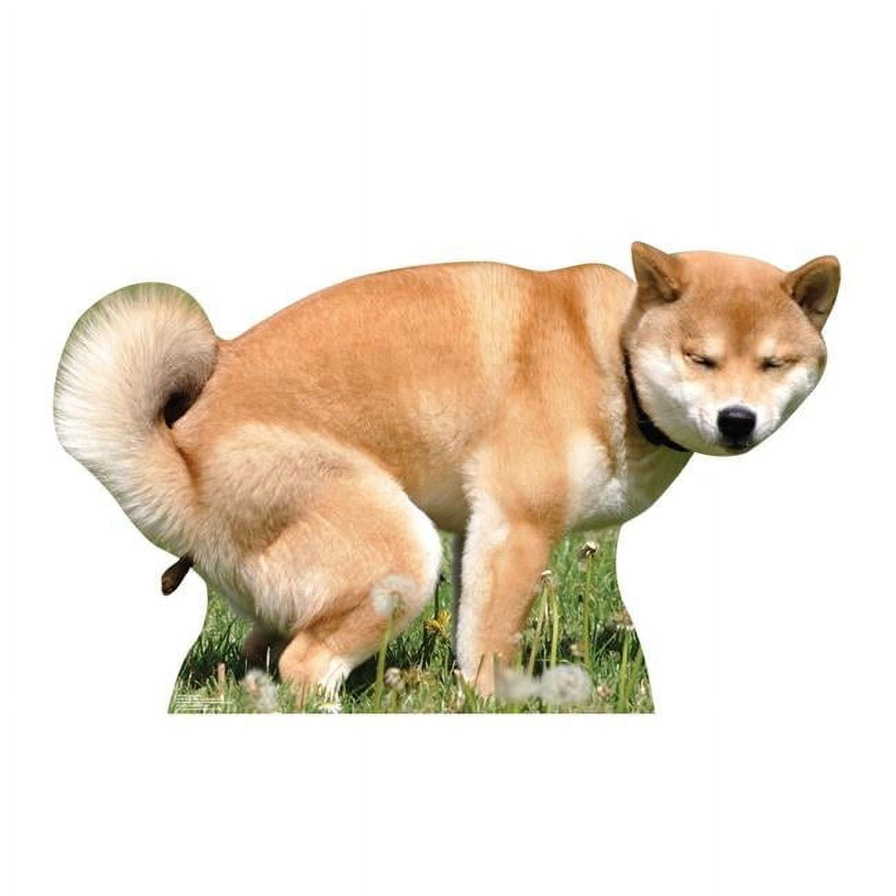 28 x 48 in. Pooping Dog Life-Size Cardboard Cutout - Walmart.com