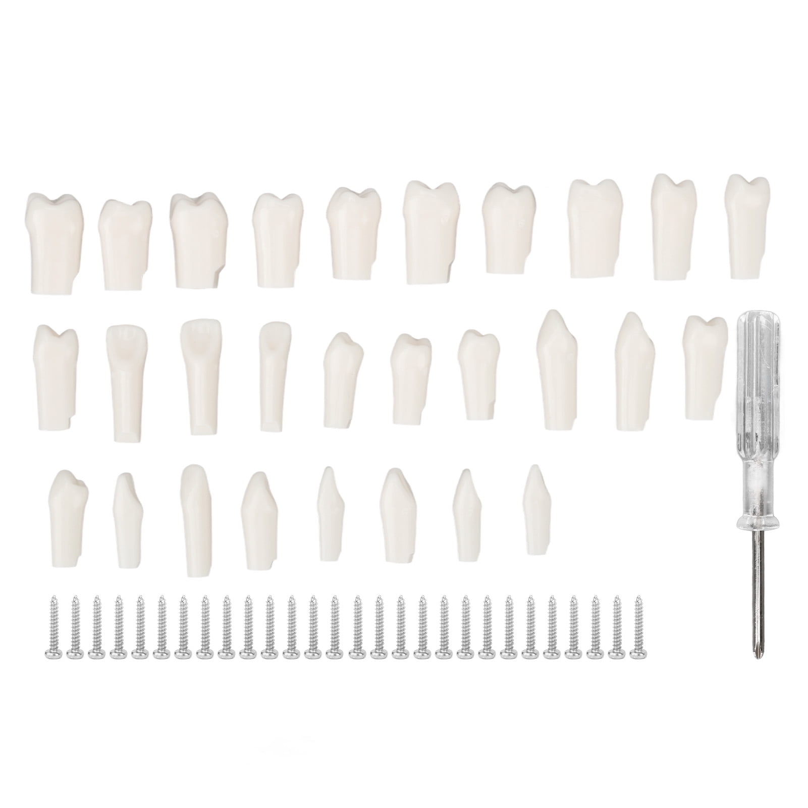 28Pcs Removable Teeth Piece Durable Plastic Removable Design False ...