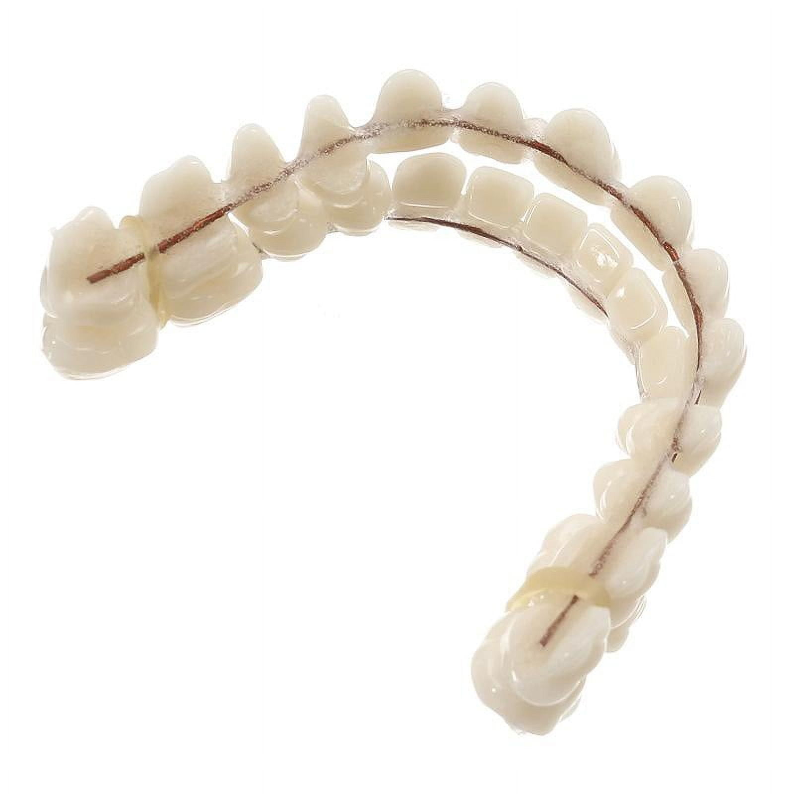 28pcs/set Resin Teeth Denture Manufactured Artificial Preformed ...