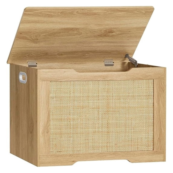 29.5” Storage Chest, Storage with Storage, Toy Box with 2 Safety Hinges ...