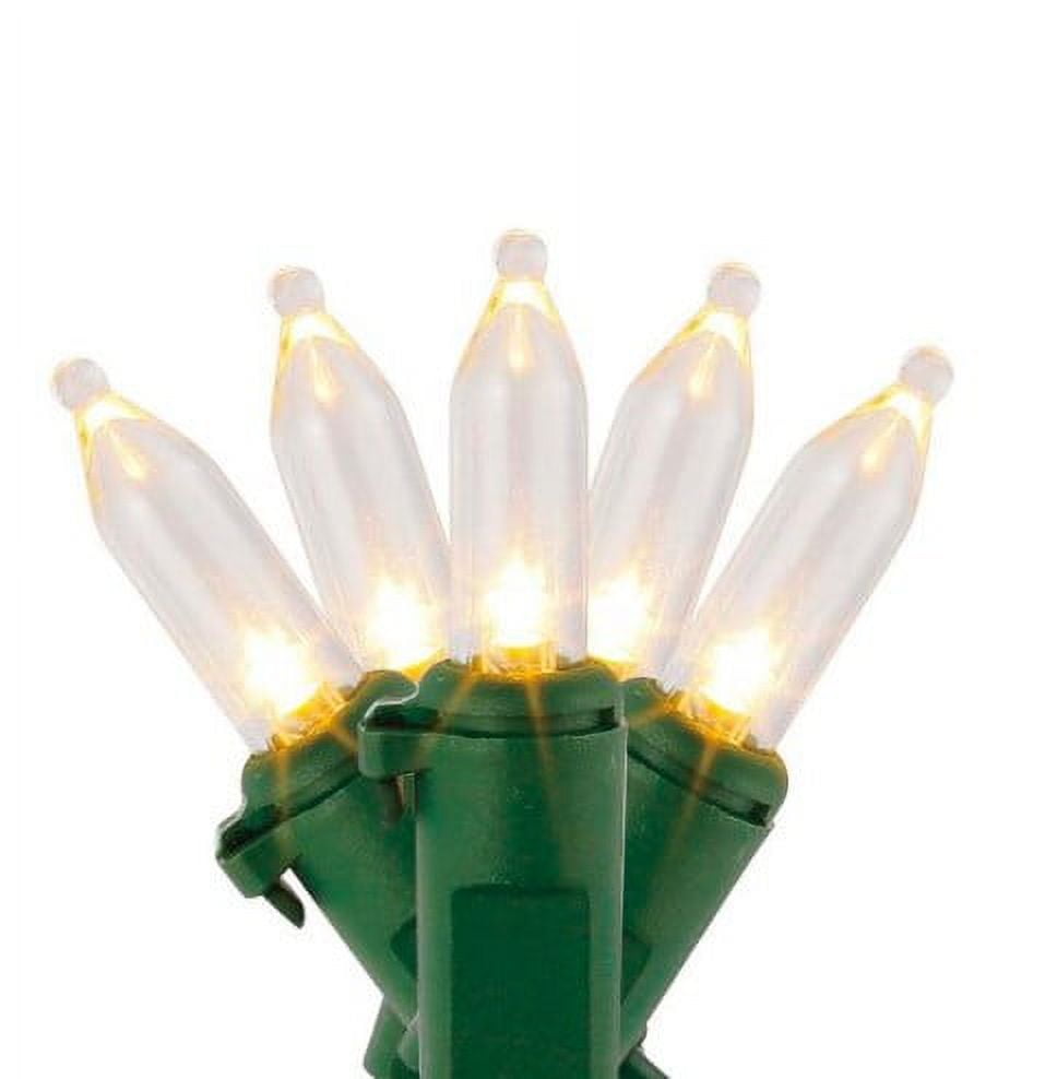 29.5 ft. 100-Light LED Mini Warm White String Light with Green Wire ...