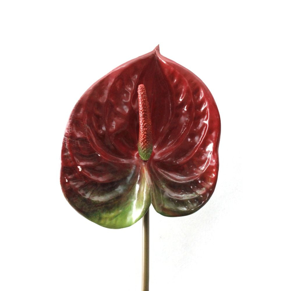 29.5in Tall Large Anthurium Artificial Flowers,Tropical Flowers ...