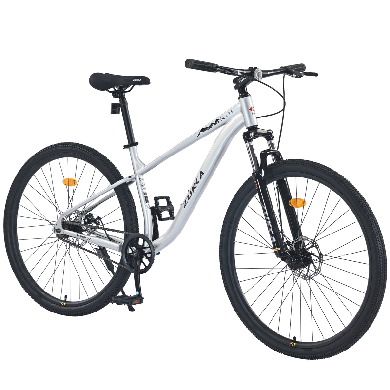 29 Inch Wheels Single Speed Mountain Bike, for Men Women Boys and Girls ...