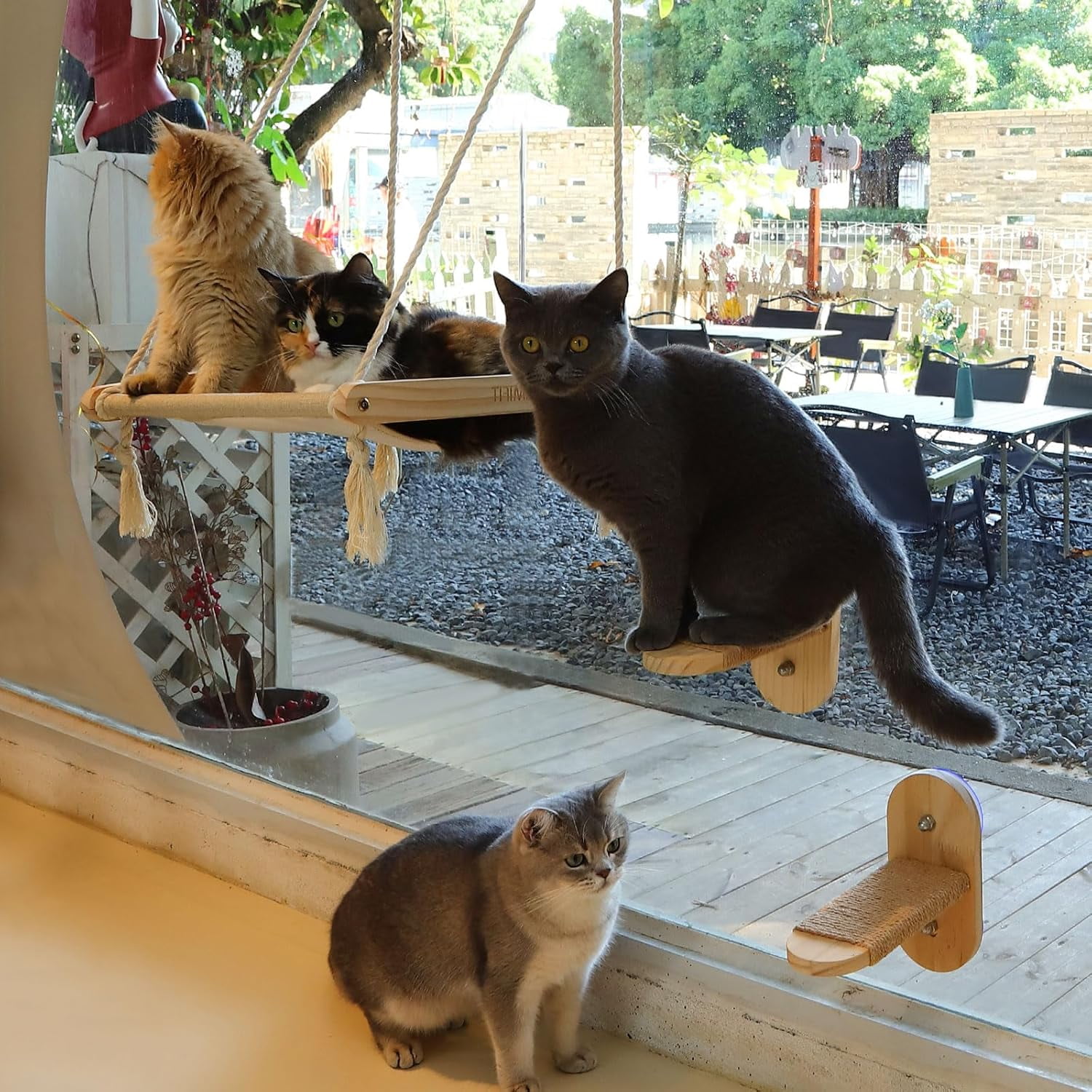 29'' Large Cat Window Perch with 2 Steps, Easy to Assemble Cat Hammock ...