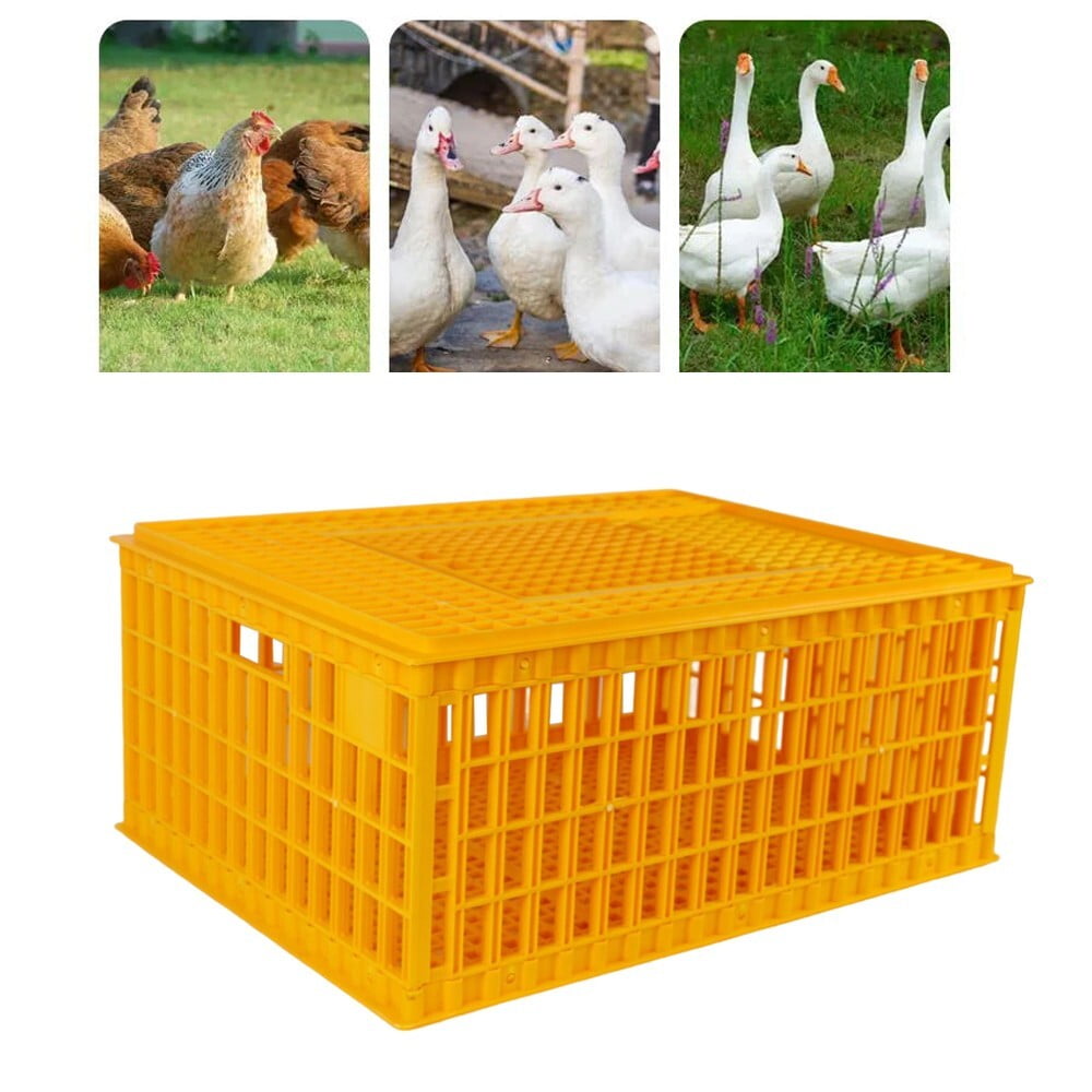 29" x 21.2" Plastic Chicken Duck goose Transport Cage Tote Bin Basket ...