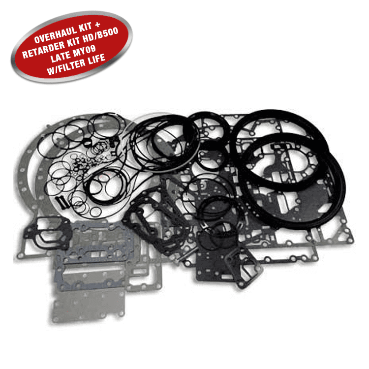 29559773-DF - OVERHAUL KIT + RETARDER - OE PISTONS - MY09 (TID A & B ...