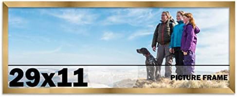 29X11 Frame Bronze Picture Frame - Modern Photo Frame Includes UV ...