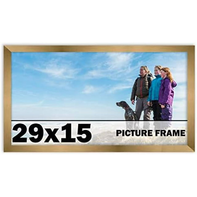 29X15 Frame Bronze Picture Frame - Modern Photo Frame Includes UV Guard ...
