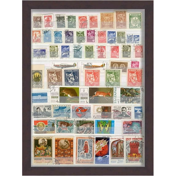 29x23 Walnut Shadowbox Frame - Shadow Box Frame Interior Size 29x23 x 1 ...