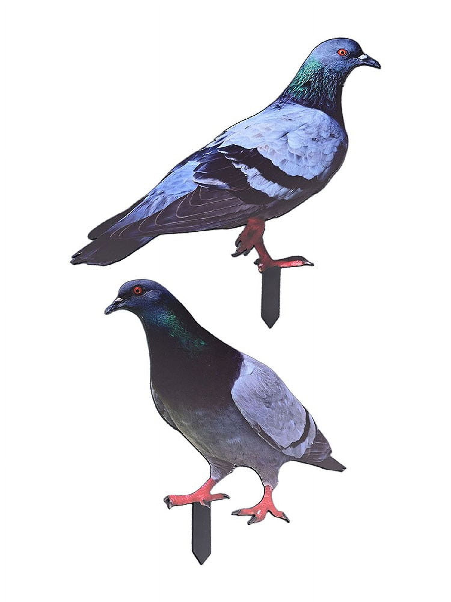 2D Acrylic Garden Pigeon Statue Wild Pigeon Sculpture For Garden Yard ...