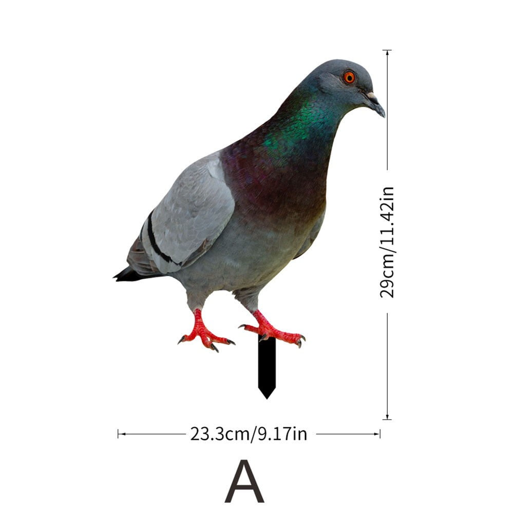 2D Acrylic Garden Pigeon Statue Wild Pigeon Sculpture Yard Decor Farm ...