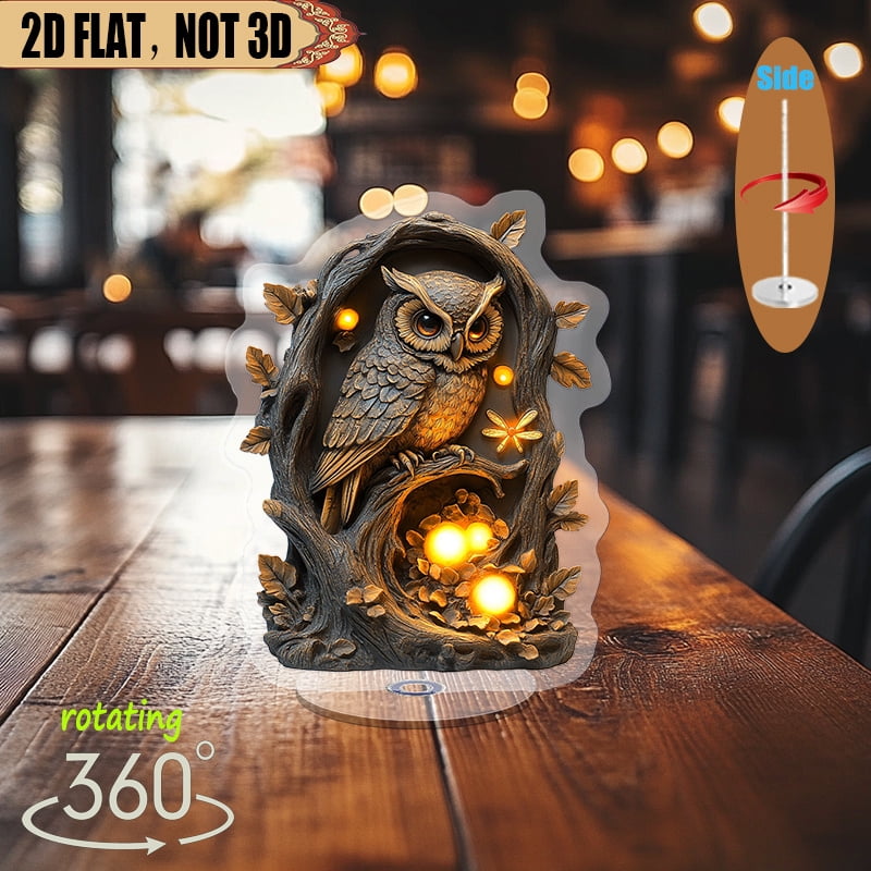 [2D flat] 1PC Rotating acrylic ornament featuring a wise owl and ...