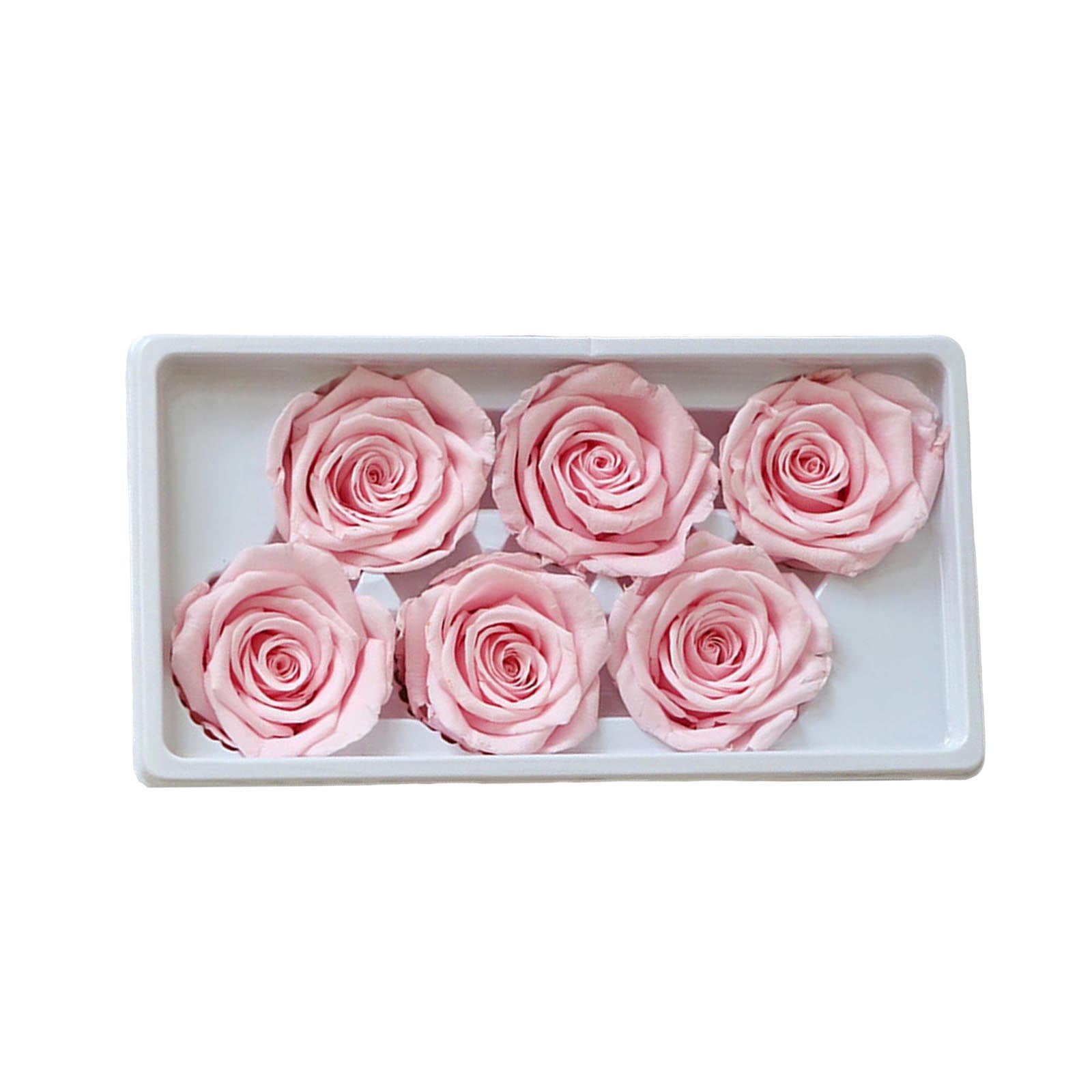 2DXuixsh Roses Flower Gifts Immortal Roses Gift for Her Eternal Rose ...