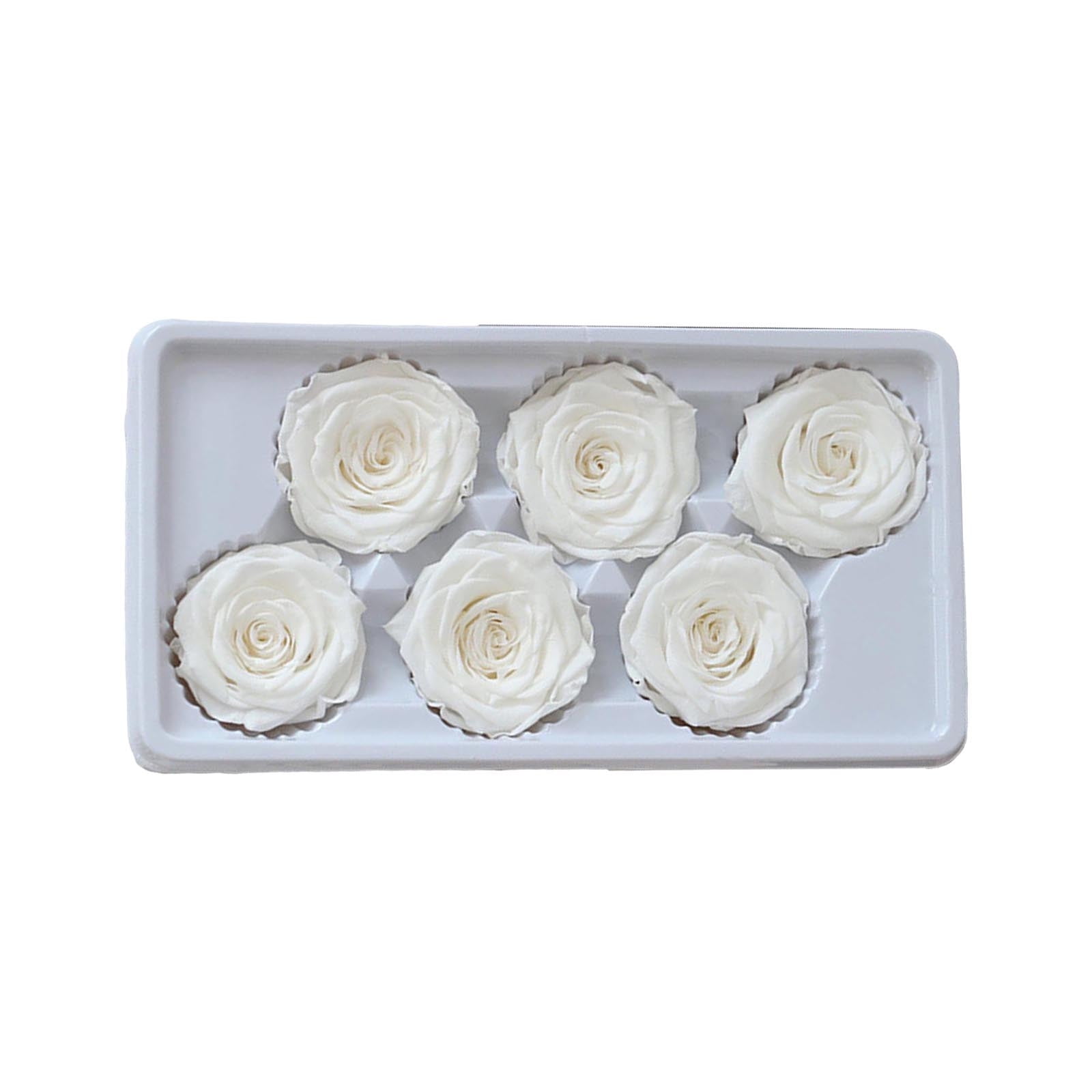 2DXuixsh Roses Flower Gifts Immortal Roses Gift for Her Eternal Rose ...