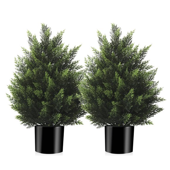 Cedar Christmas Tree