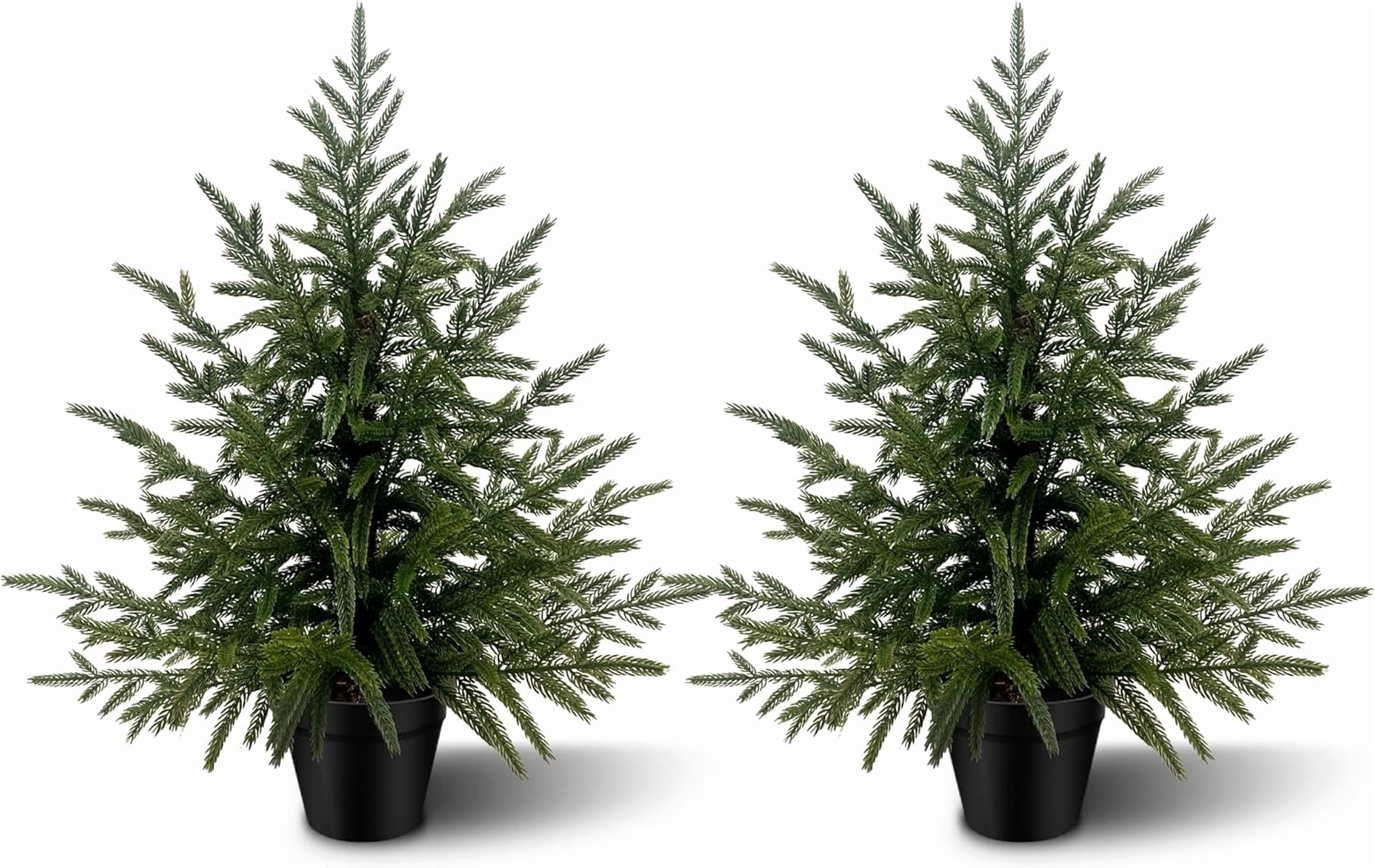 2FT Artificial Norfolk Pine Trees 2-Pack, Real Touch Faux Cedar Topiary ...