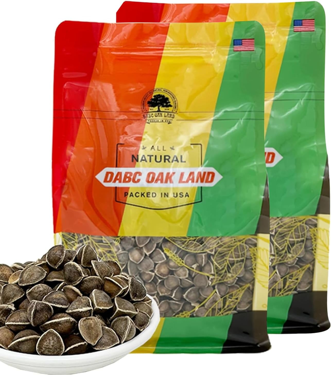 2LB Premium Moringa Seed, Moringa Oleifera, Malunggay, Drumstick Tree ...