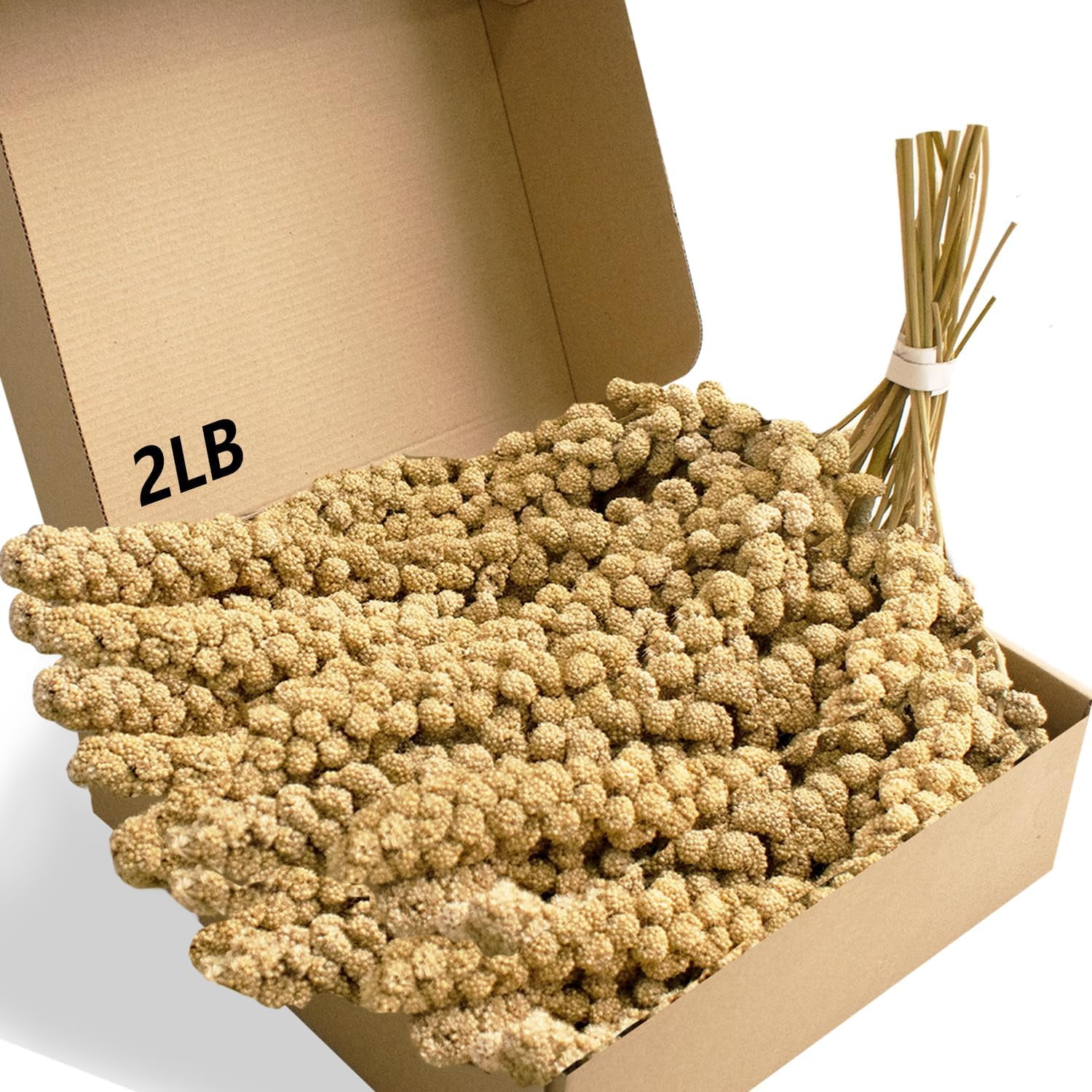 2LB Spray Millet Treat for Birds Parakeets, Natural Sun-Dried Birds ...