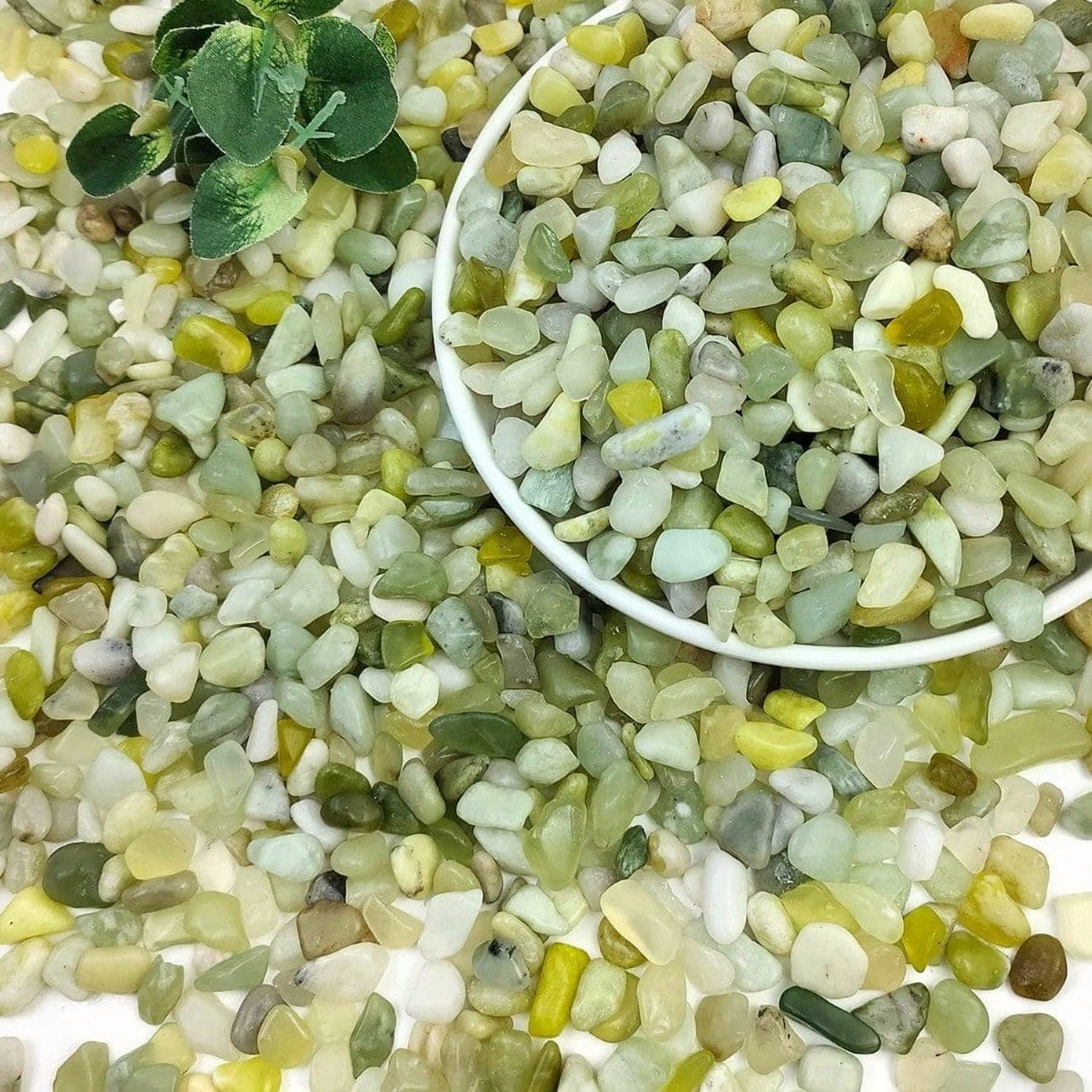 2LB Succulent Jade Pebbles for Indoor Plants 3/8 Inch Natural ...
