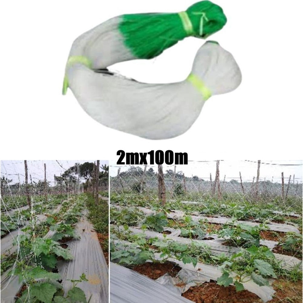 2M*100M Cucumber Net Netting Plant Support Net Plant Climbing - Walmart.com