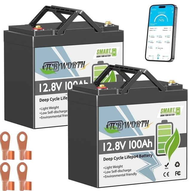 2PACK 12V 100AH LiFePO4 Battery Bluetooth,TCBWORTH Mini Lithium Batteries for RV,Camping,Solar ...