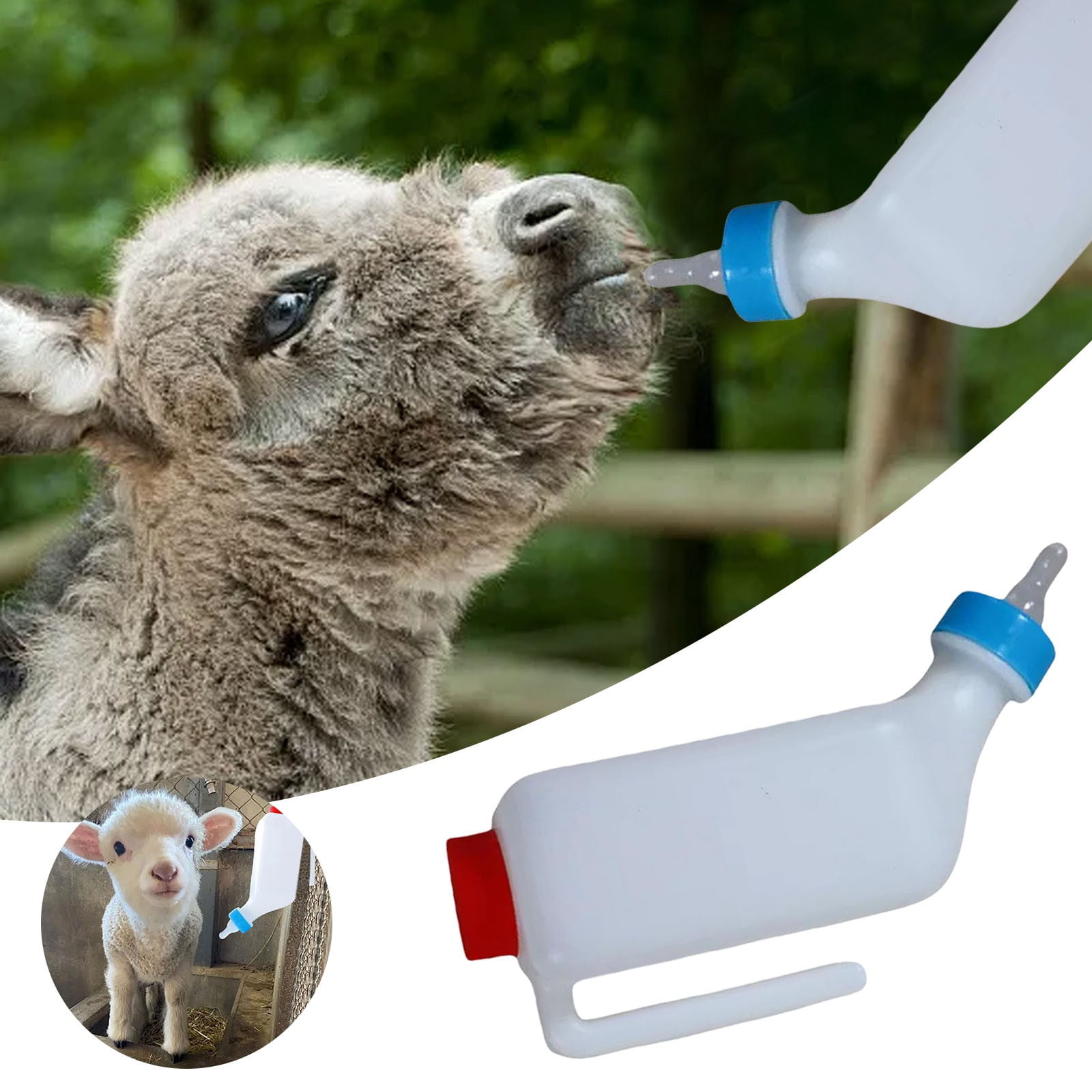 2PC Calf Milk Feeder Bottle with Nipple Sheep Lamb Bottle Holder Screw ...