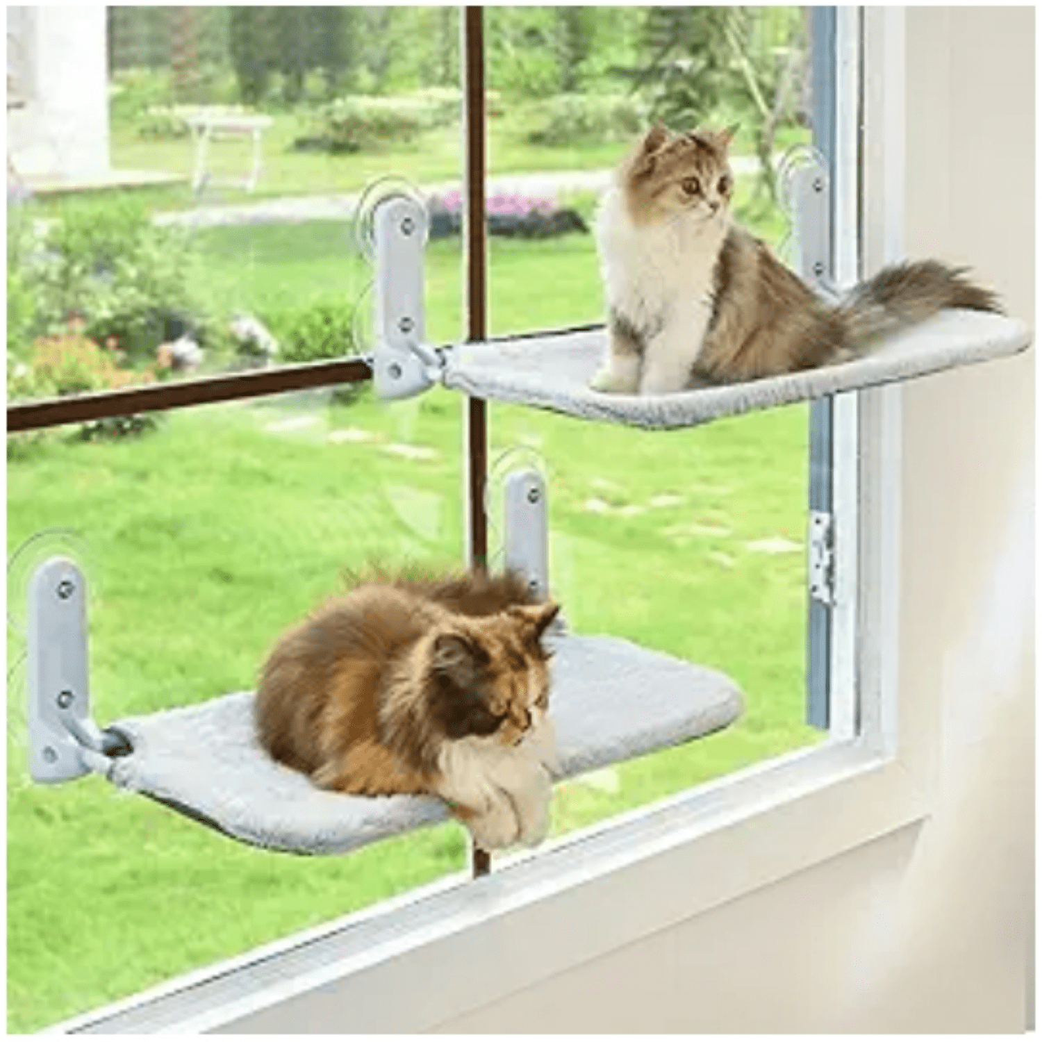 2PC Cat Window Perch Cordless Foldable Cat Hammock Bed for Window with ...