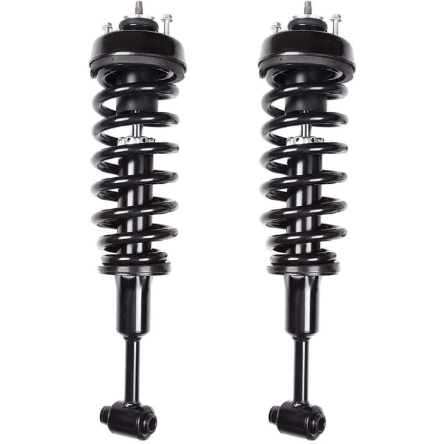 2PC Complete Front Strut & Coil Spring Assemblies for 2004-2005 Ford ...