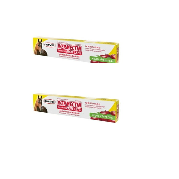 Ivermectin Treatment