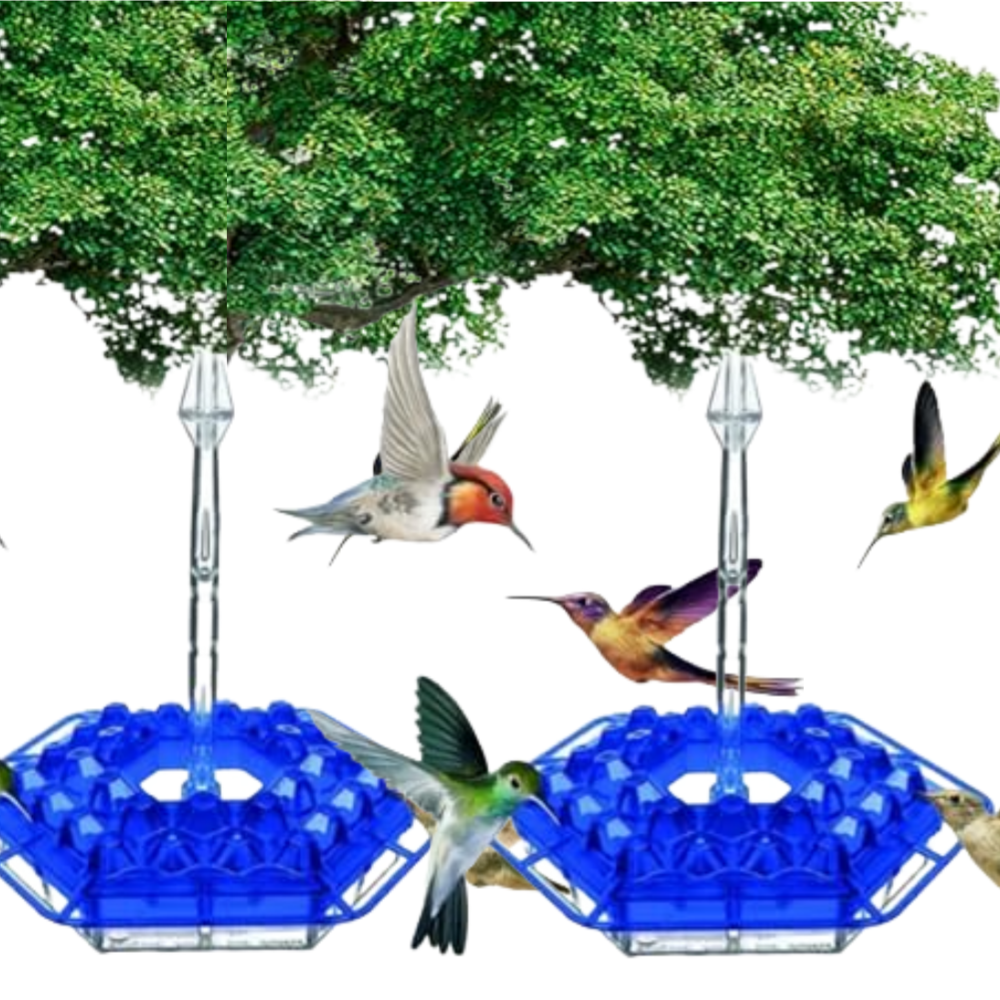 2PC Sherem Sweety Hummingbird Feeder, 2024 New Shirem Sweety ...