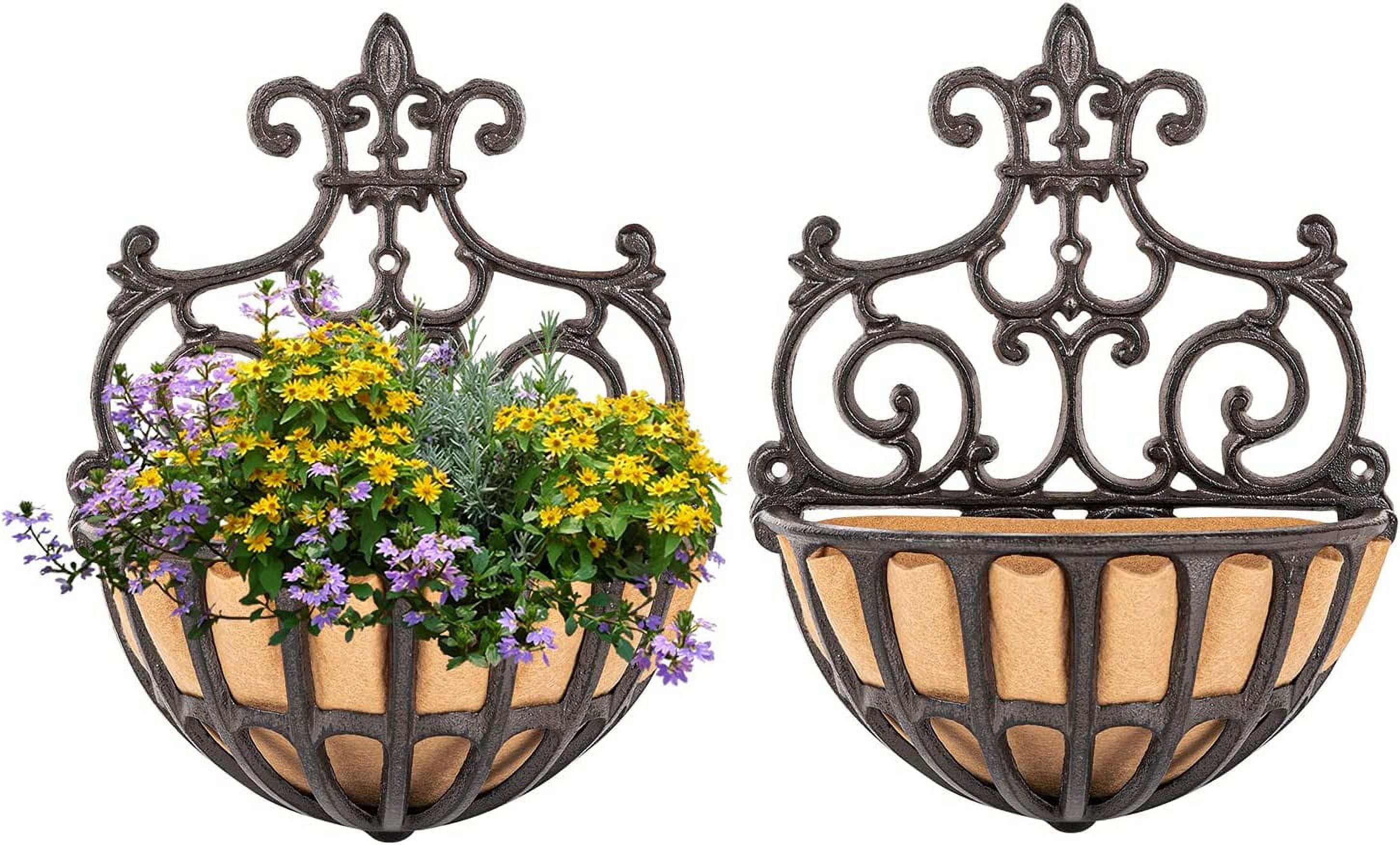 2PC Small Cast Iron Baskets, Heavy-Duty Wall Hanging Hollow Planter w ...