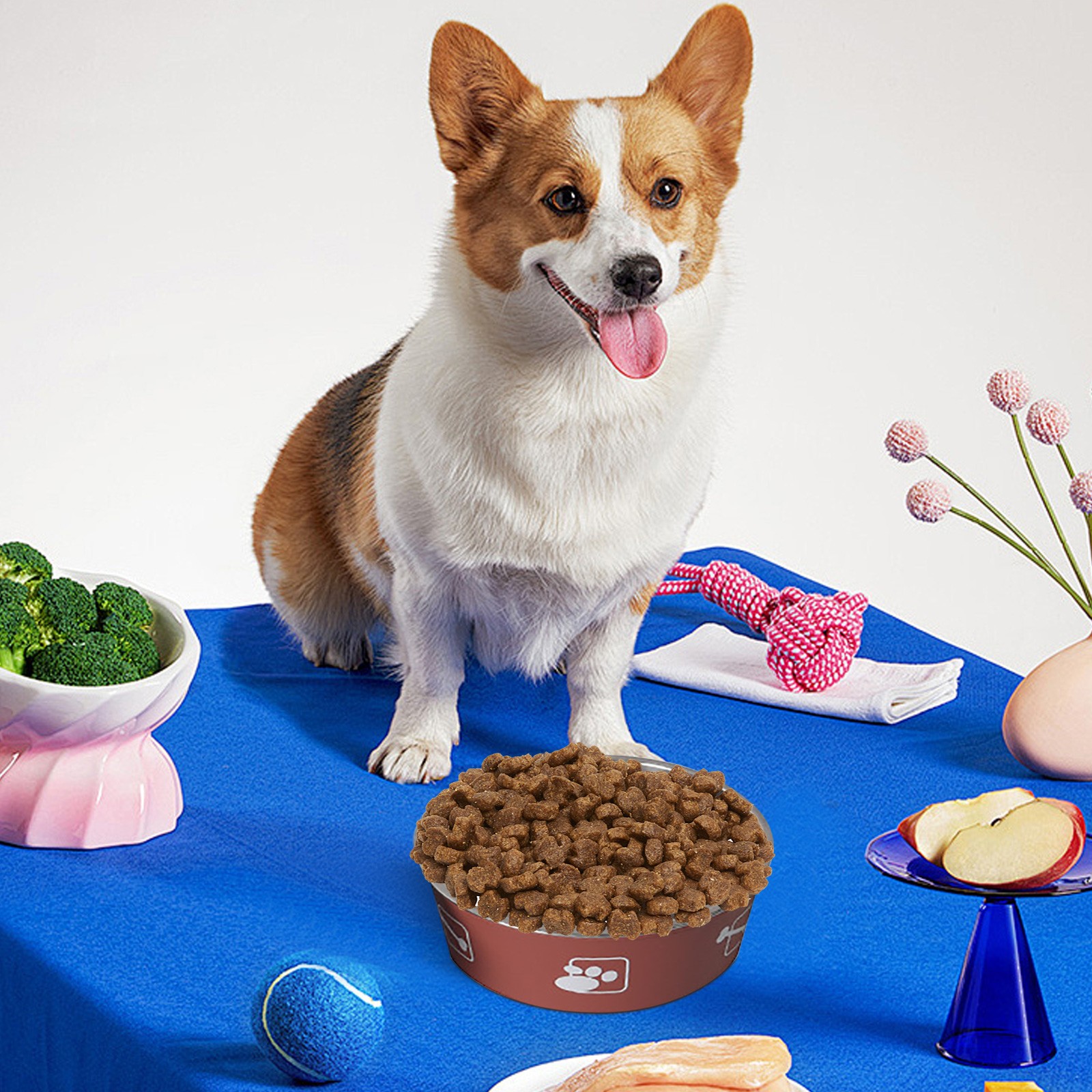 2PC Stainless Steel Dog Bowl with Anti-Skid Rubber Base for Small Pet ...