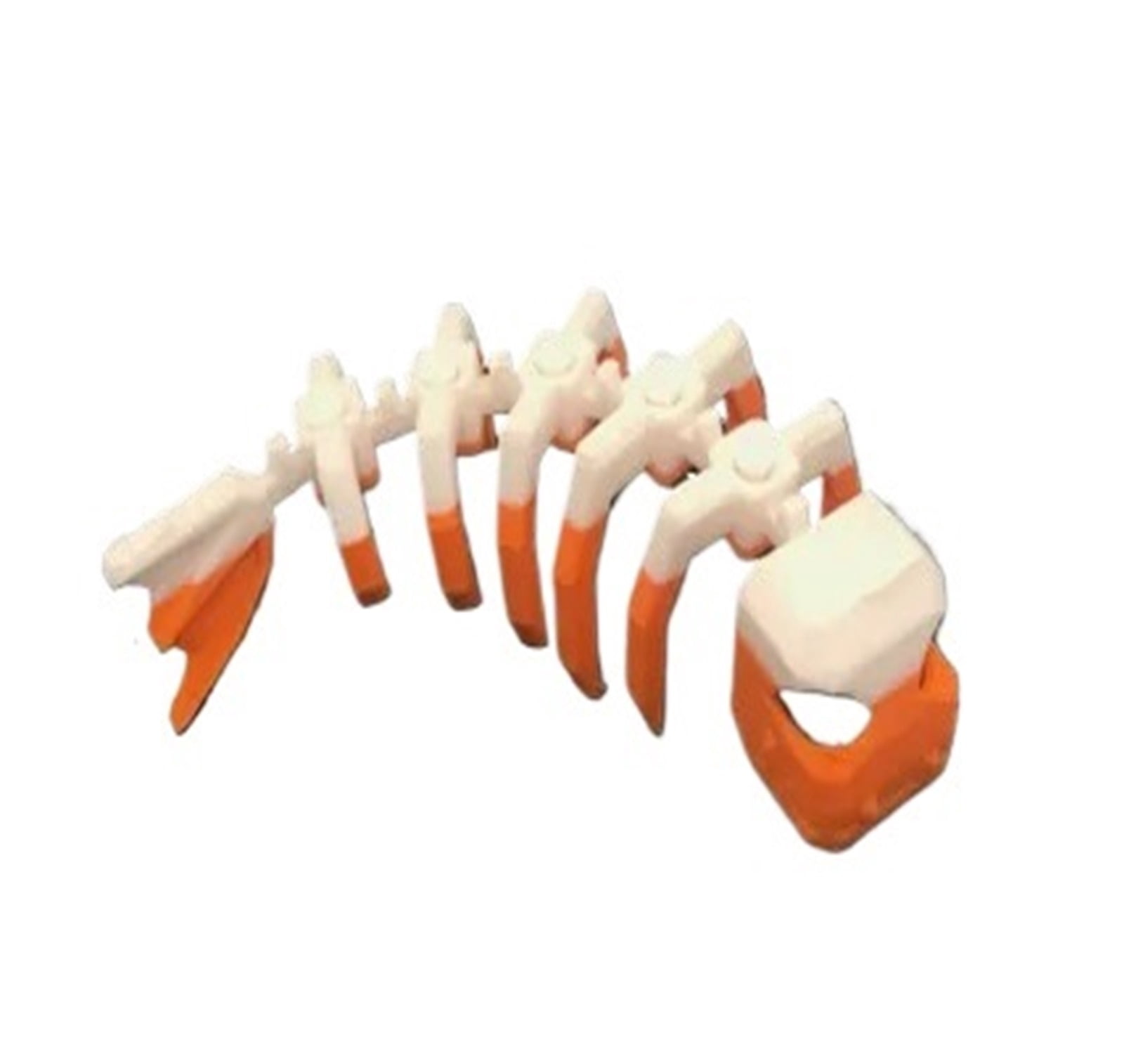 2PC movable bony fish 3D printing - Walmart.com
