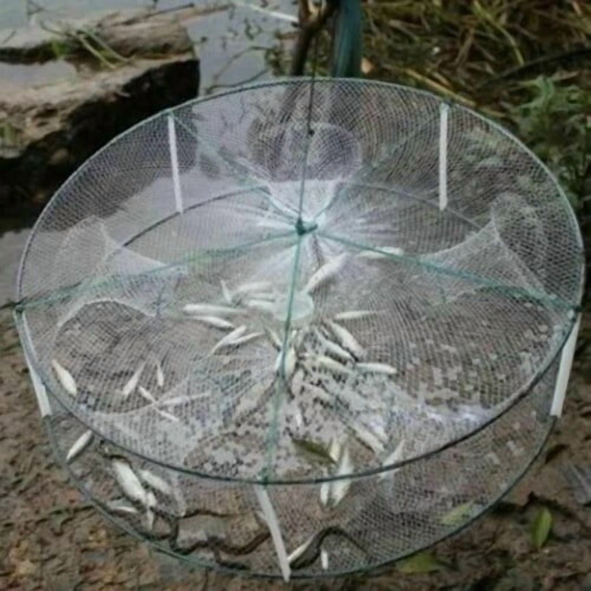 2PCFoldable Fishing Bait Trap Crab Net Crawdad Shrimp Cast Dip Cage ...