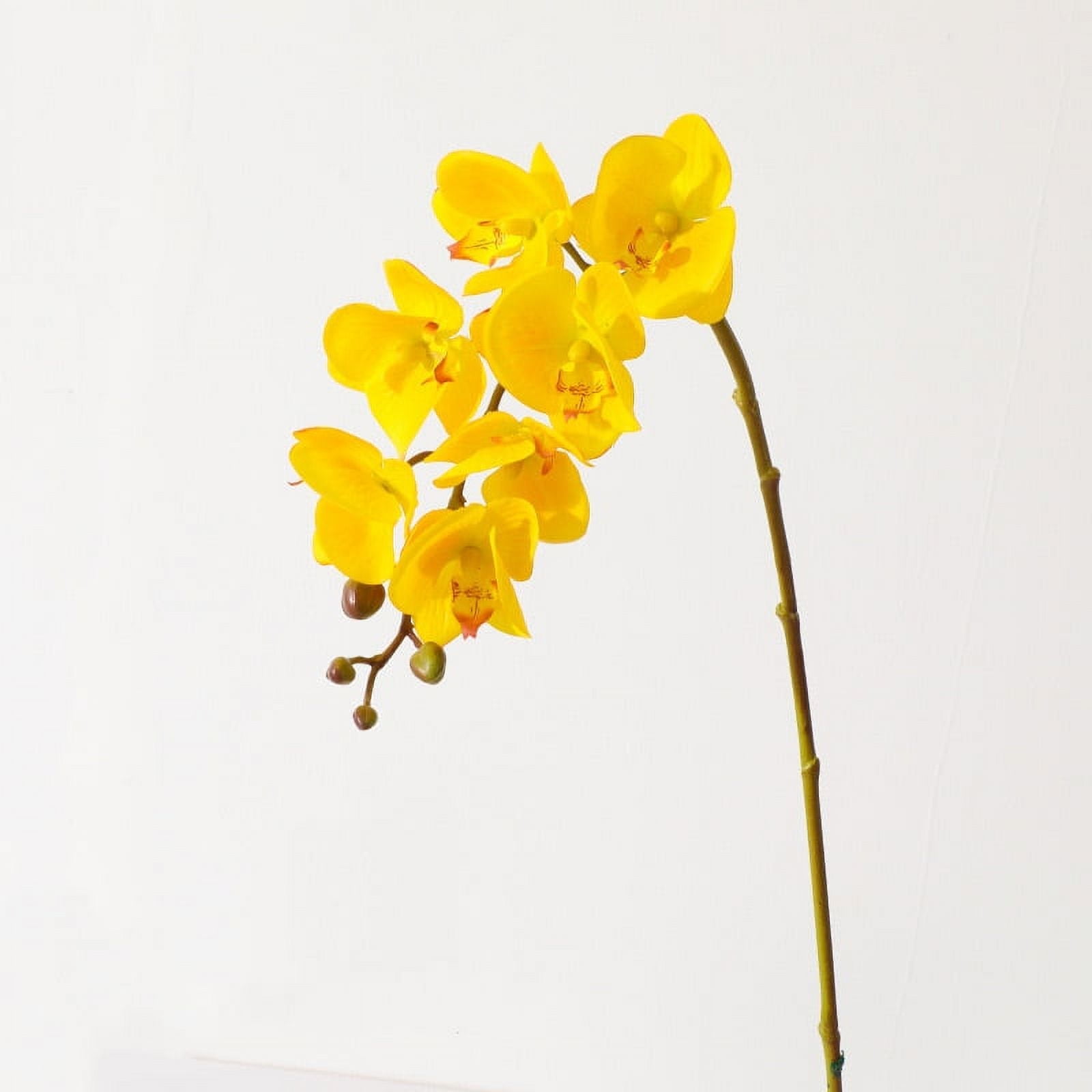 2PCS 27.2" Tall Cream Silk Orchid Stems Artificial Flower Stem Real ...