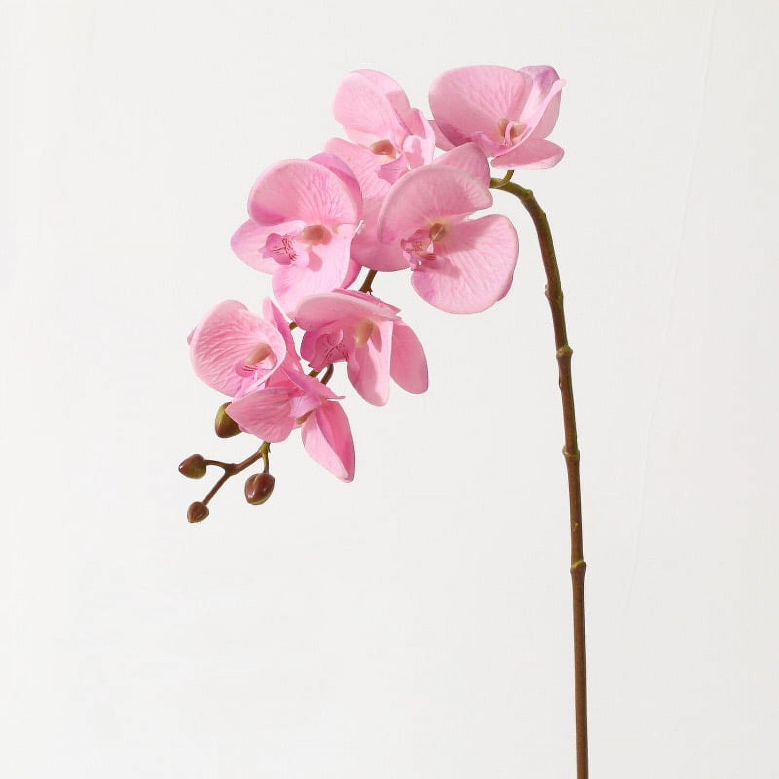 2PCS 27.2" Tall Cream Silk Orchid Stems Artificial Flower Stem Real ...