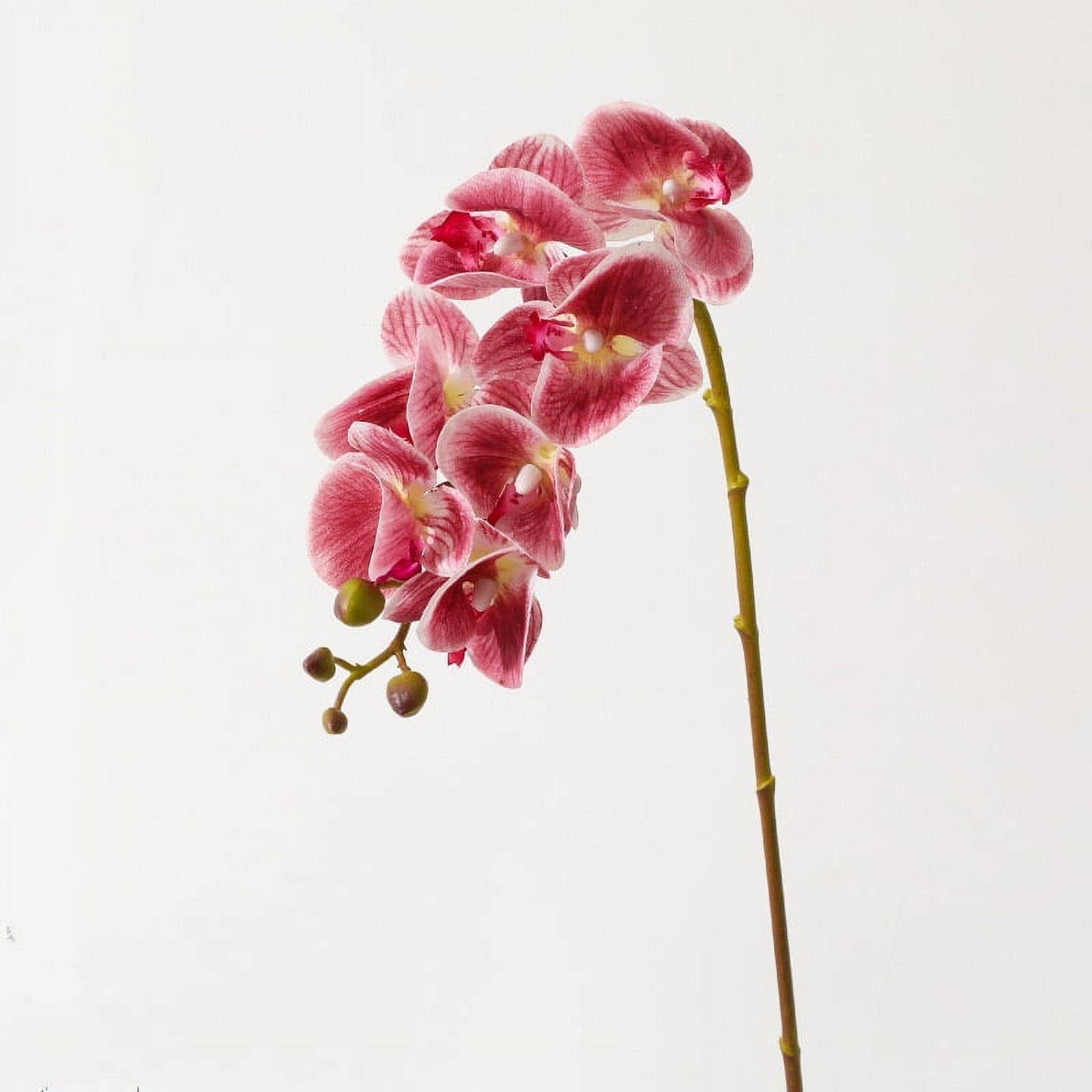 2PCS 27.2" Tall Cream Silk Orchid Stems Artificial Flower Stem Real ...