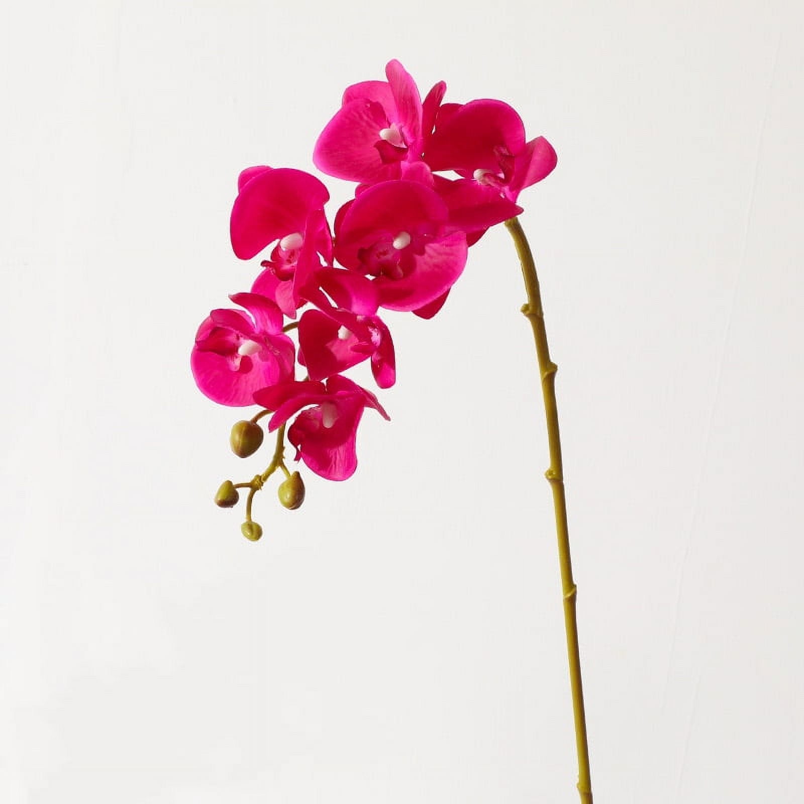 2PCS 27.2" Tall Cream Silk Orchid Stems Artificial Flower Stem Real ...