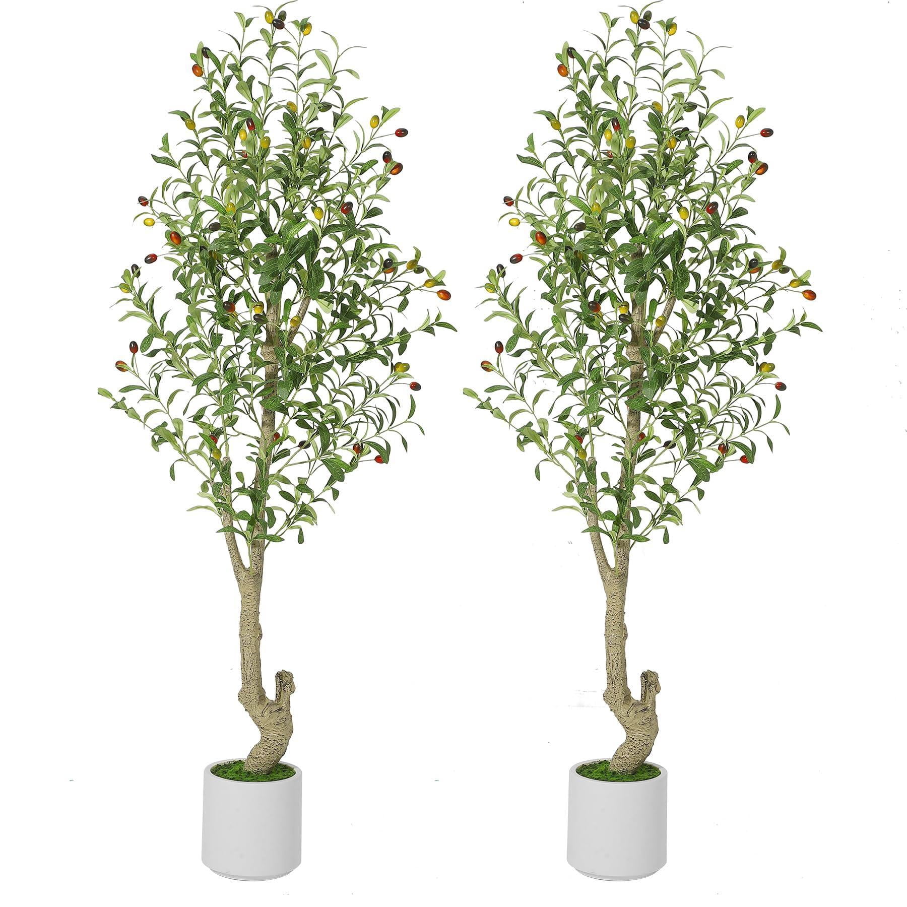 2PCS 5FT White Planter Artificial Olive Trees, Realistic Fruit Leaf ...
