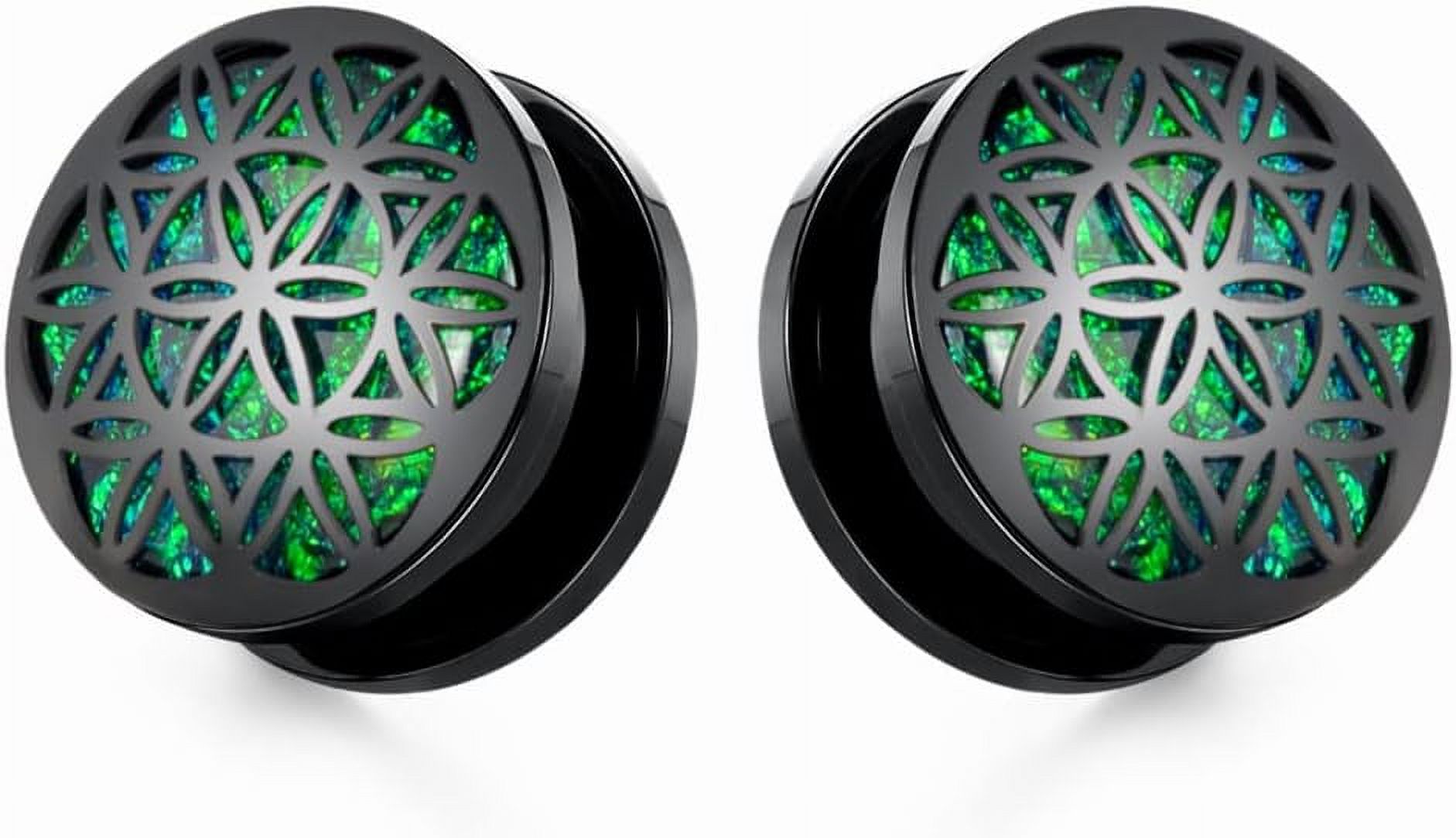 2PCS 8mm-25mm Stainless Professional Steel Ear Gauges Screwed Flesh ...