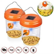 Bees N Things Wood Hanging Carpenter Bee Catcher for Outdoor Use ...