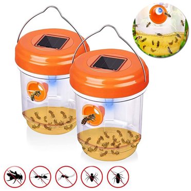 Bees N Things Wood Hanging Carpenter Bee Catcher for Outdoor Use ...