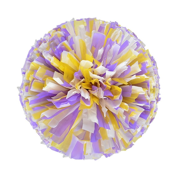 2PCS Cheerleaders Handheld Color Flower High Density Color Strip Double ...