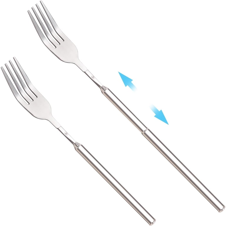 Telescopic Fork