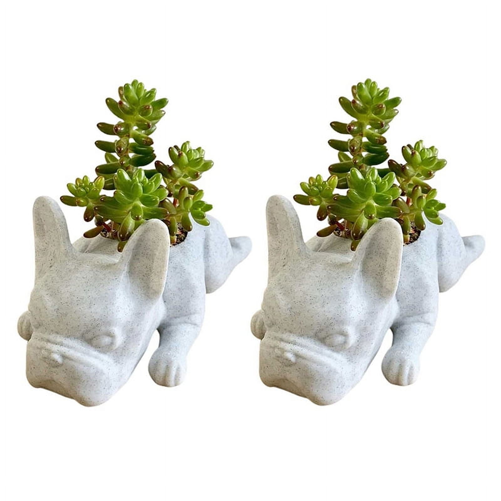 2PCS French Bulldog Shape Resin Succulent Planter Mini Puppys Plants ...