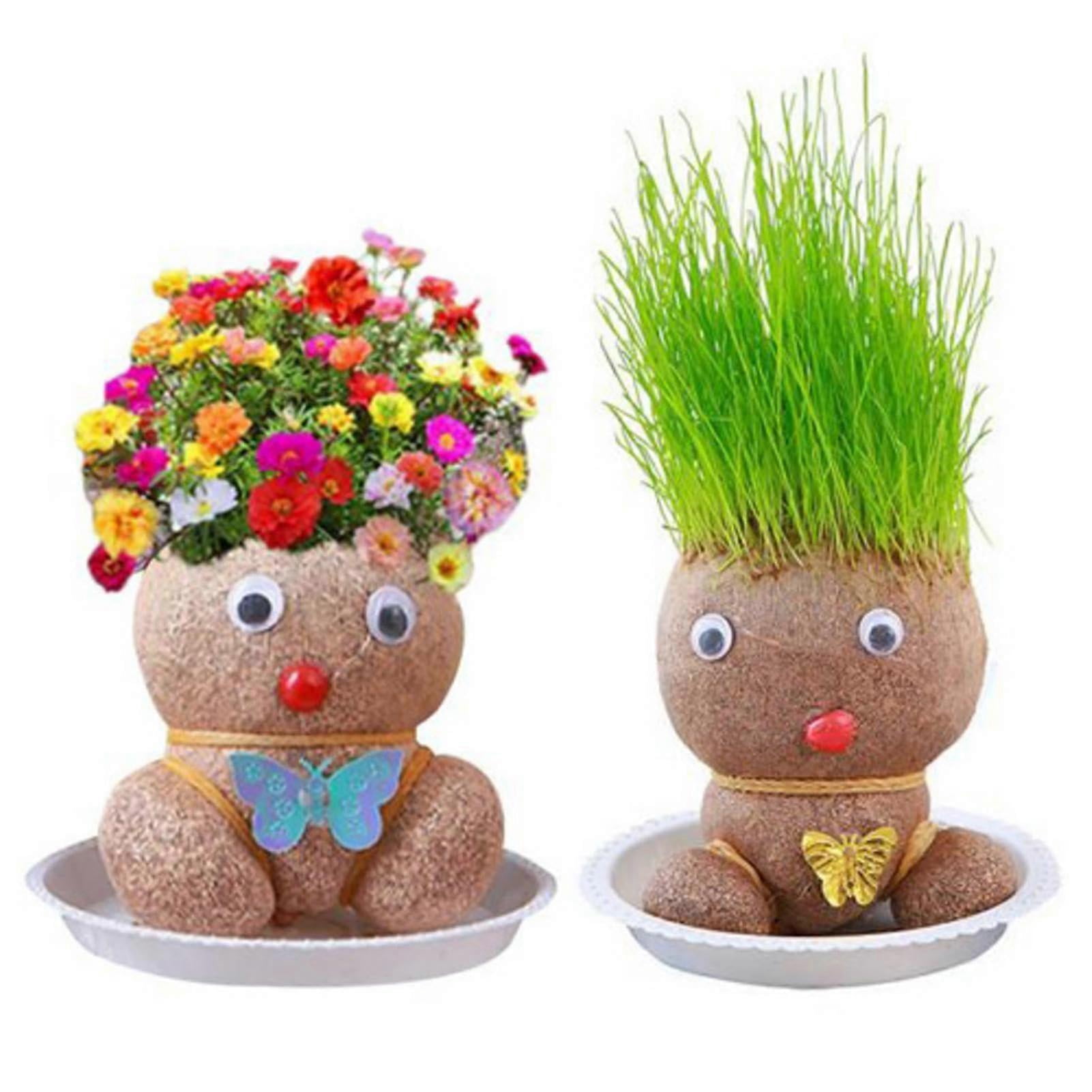 2PCS Grow Your Own Kits - Grass Head Doll Plant - Grass Heads for Kids ...