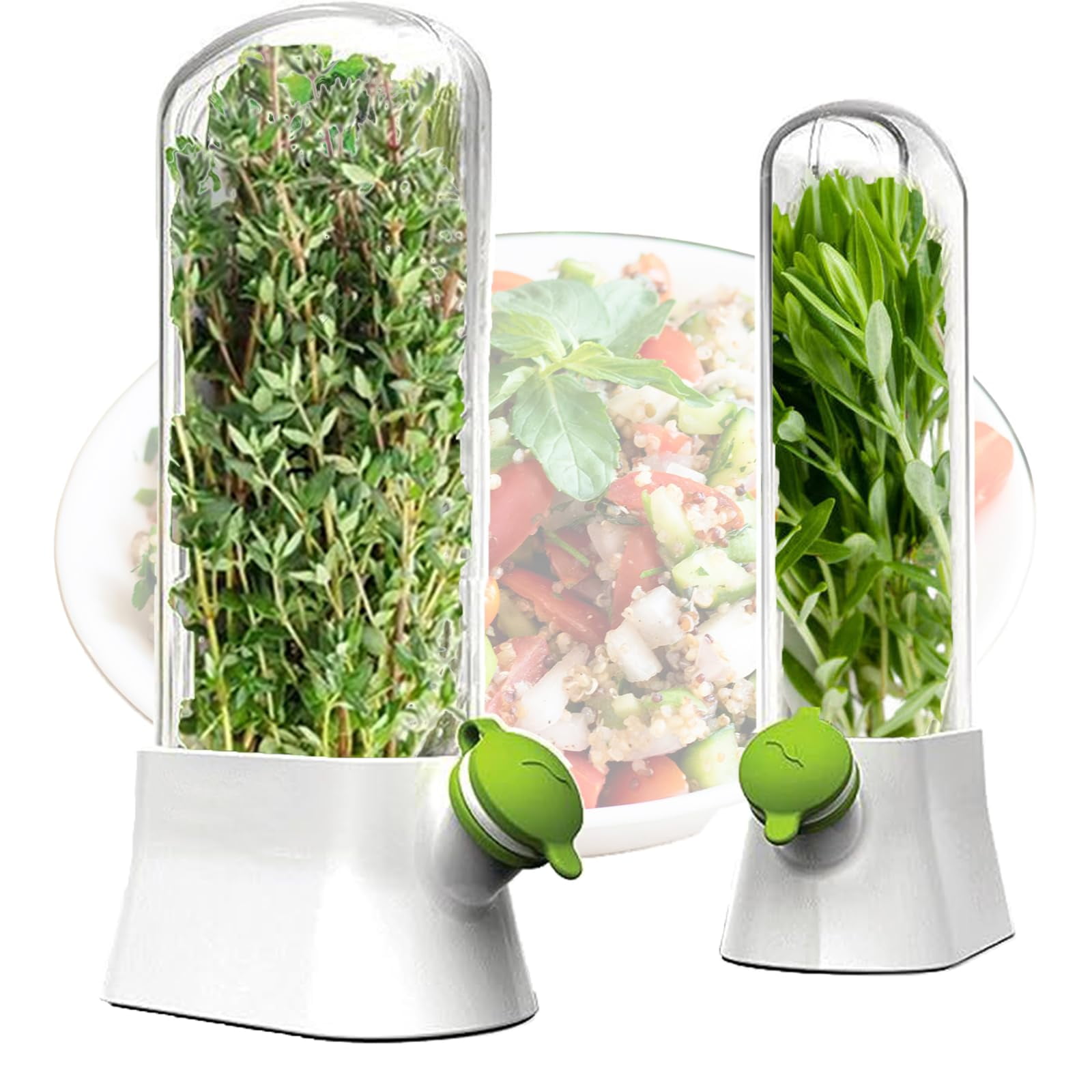 2PCS Herb Storage containers for Refrigerator, Herb Saver for ...