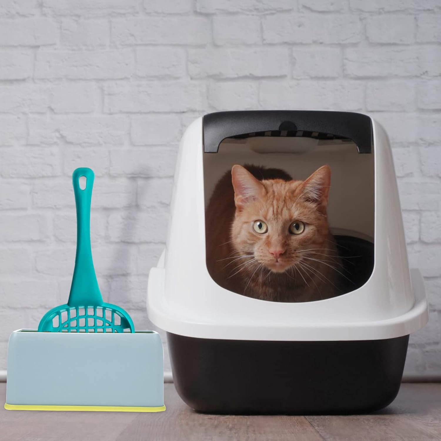 2PCS Litter Scooper Holder, Indoor Litter Shovel Stand for Cat, Cat ...