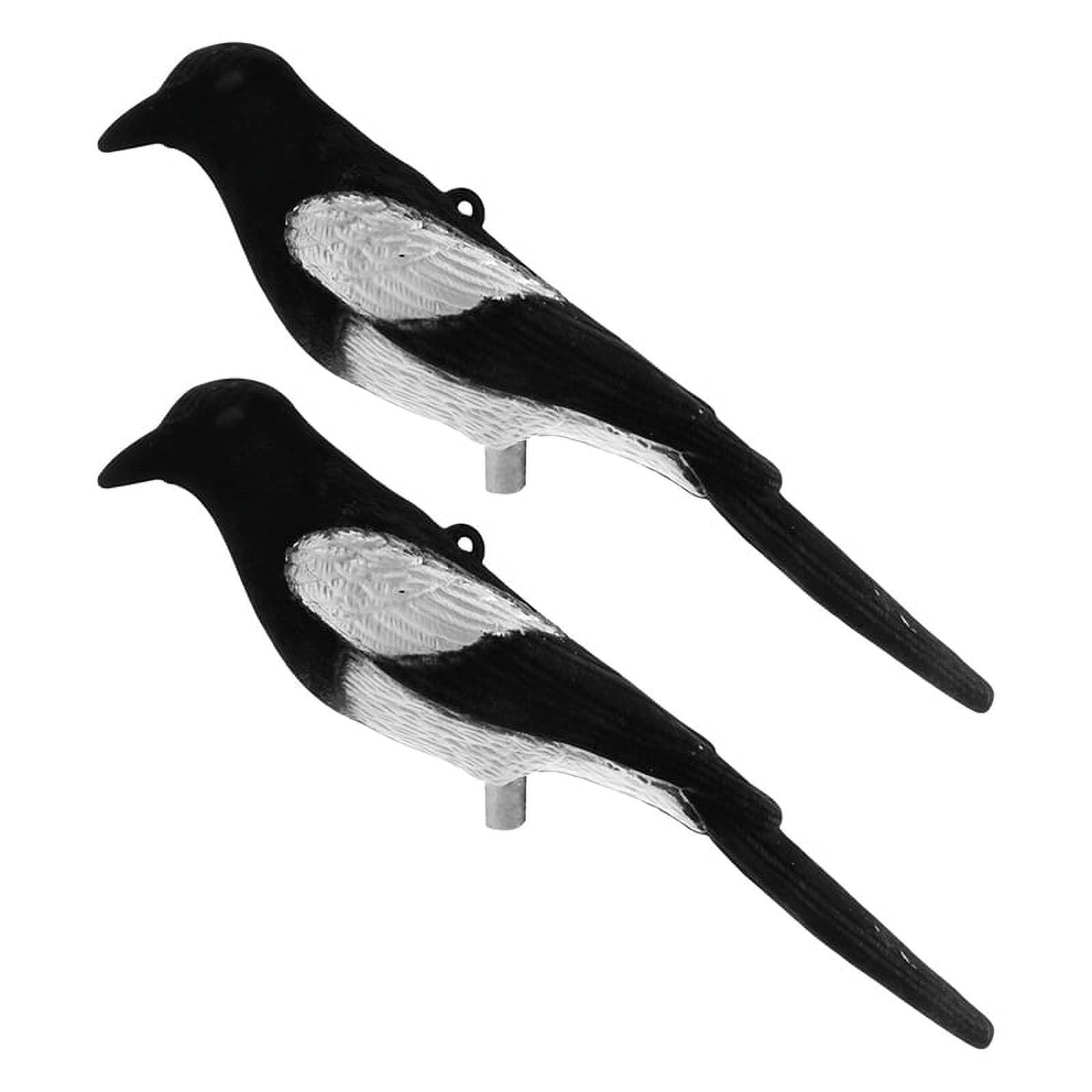 2PCS Outdoor Hunting Decoy, 3D Bird Decoying for Outdoor Hunting Garden ...